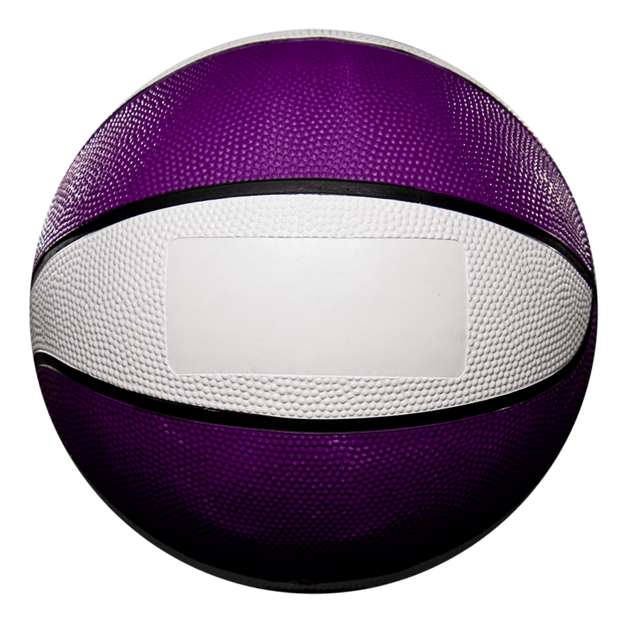 Speed Print 8 Panel Rubber Camp Basketball – Purple White | Sterling ...